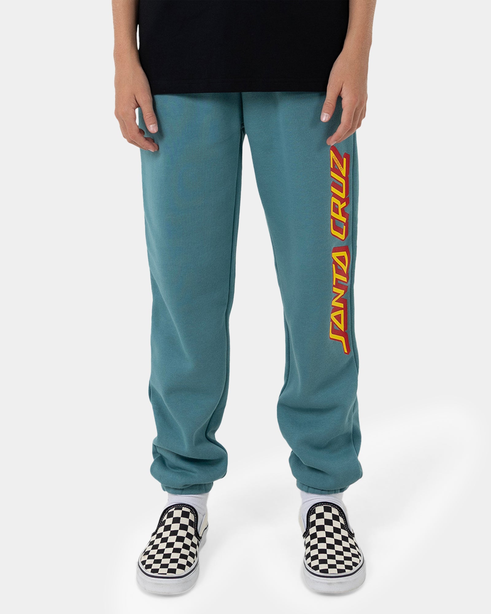 Buy Boys 8-16 Classic Strip Tracksuit Pants by Santa Cruz | Surf Dive ...
