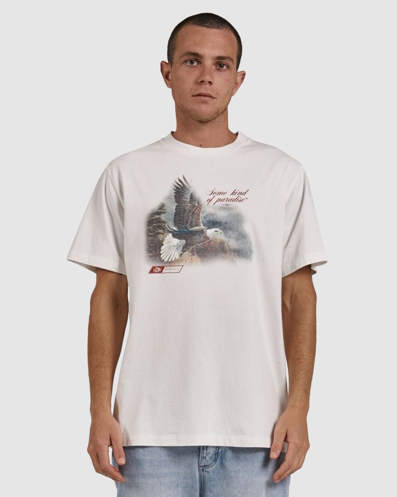 Buy MENS BEHOLDER MERCH FIT T-SHIRT by Thrills | Surf Dive 'n Ski