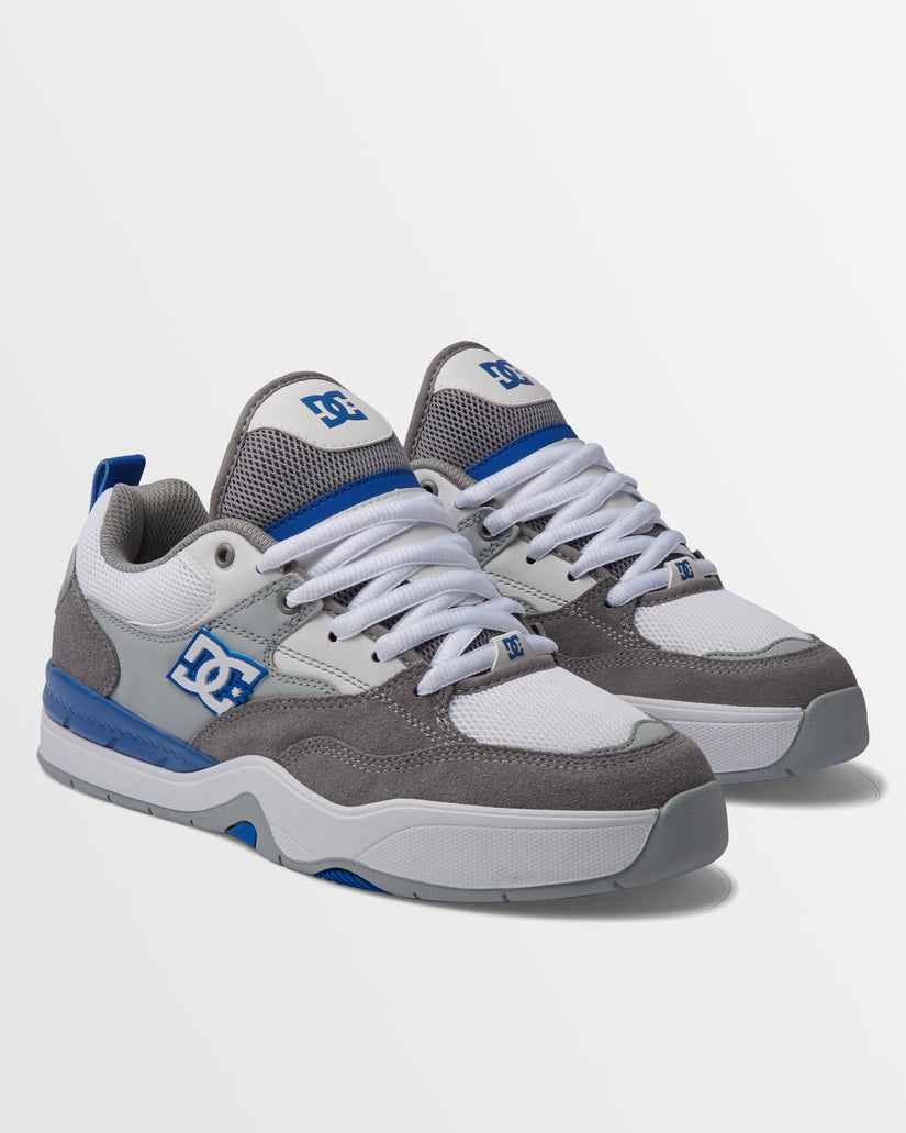 Buy Mens DC Ascend Skate Shoes by DC Shoes | Surf Dive 'n Ski