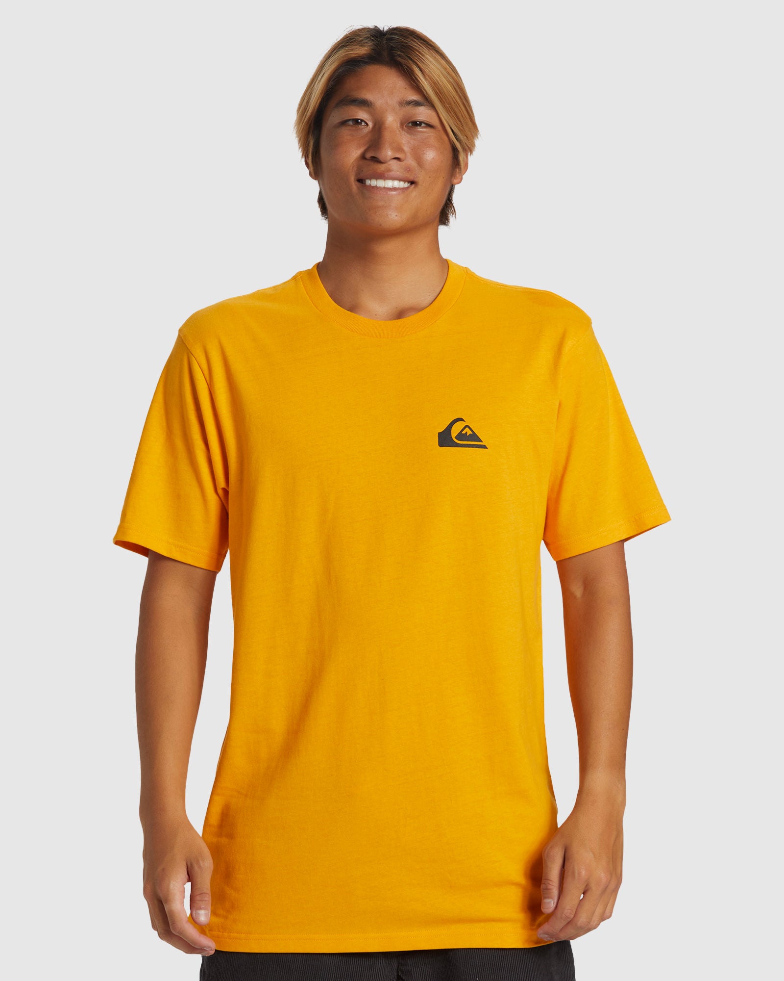 Buy Mens Comp T-Shirt by Quiksilver | Surf Dive 'n Ski