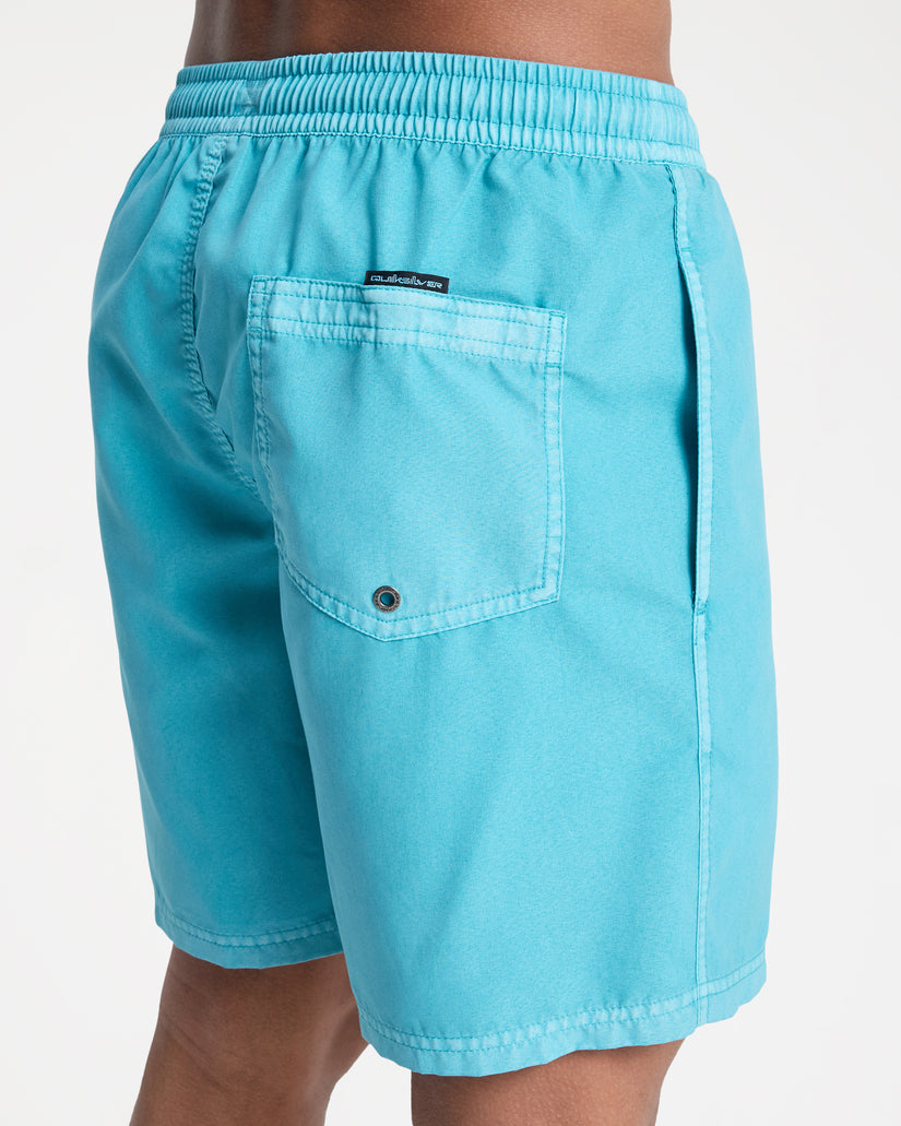 Buy Mens Surfwash 17" Swim Shorts by "quiksilver" | Surf Dive 'n Ski